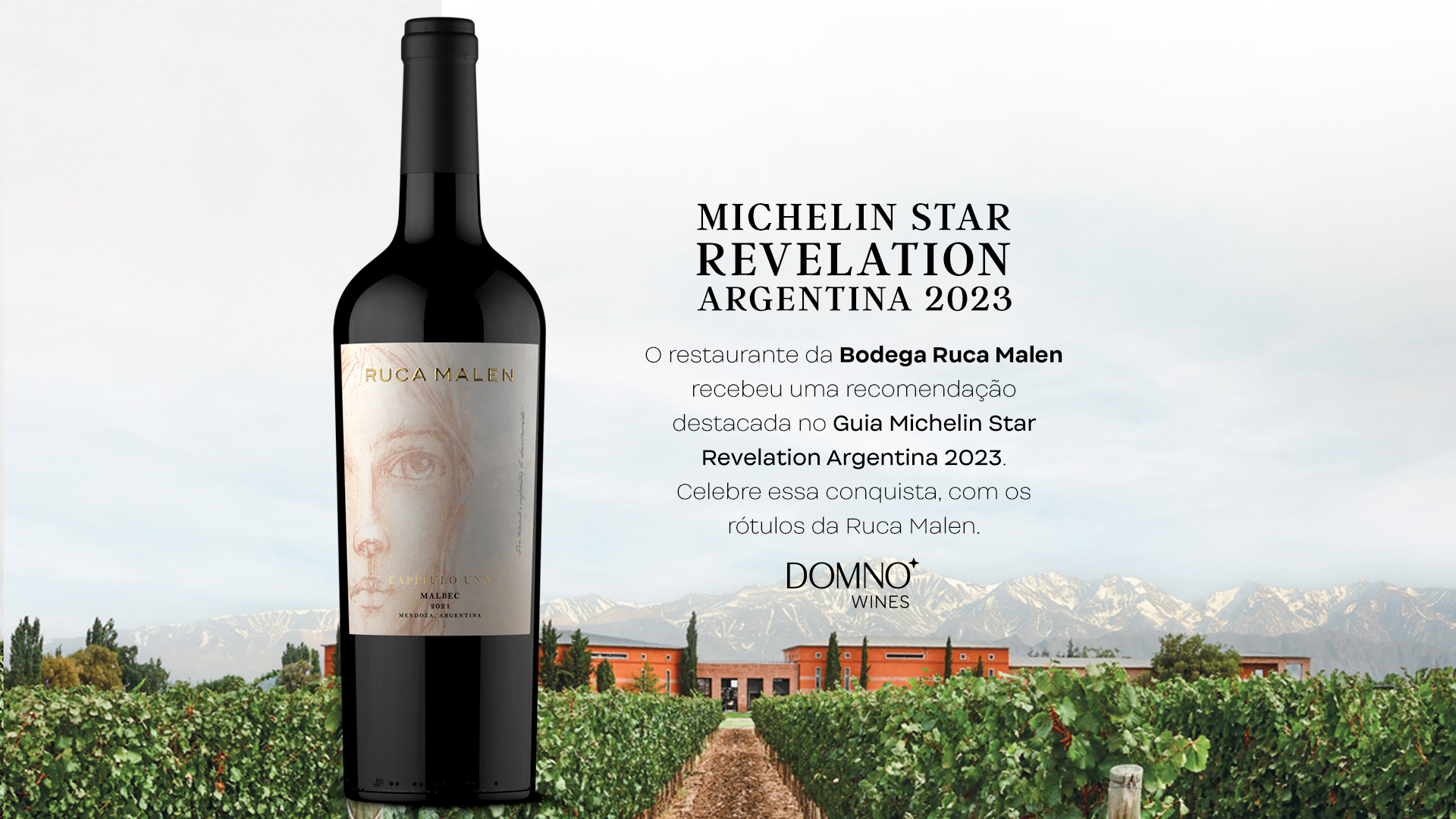 Inicial - Domno Wines